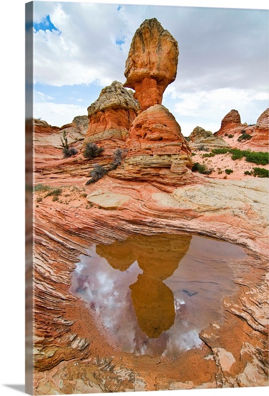 Arizona, Vermillion Cliffs, water pool in sandstone formations in South ...
