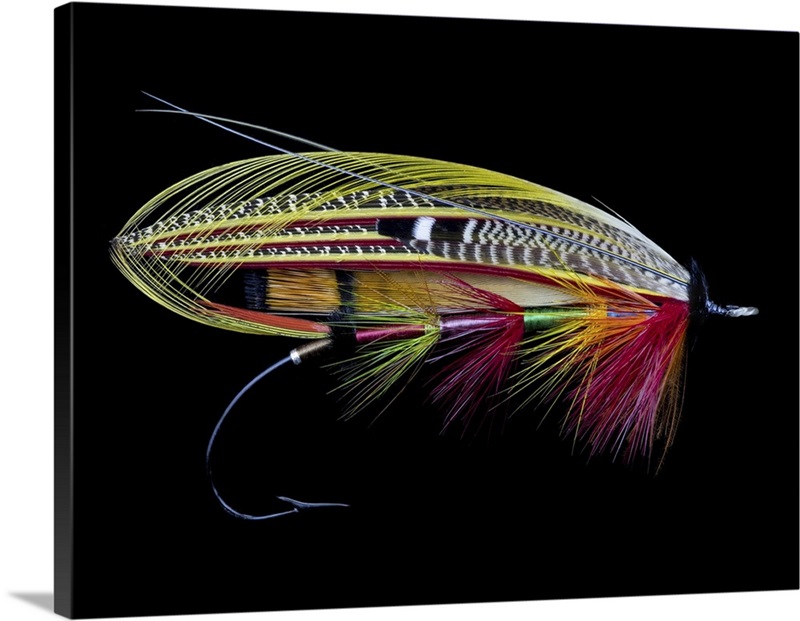 Atlantic Salmon Fly Designs | Great Big Canvas