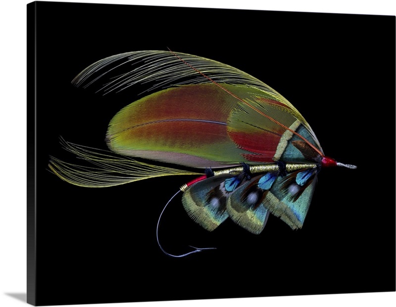 Atlantic Salmon Fly Designs | Great Big Canvas