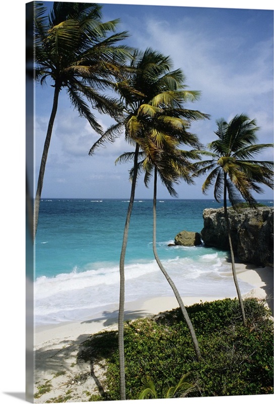 Barbados. Bottom bay | Great Big Canvas