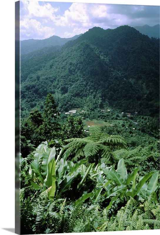 Caribbean, Island of Dominica (aka Nature Island). Lush tropical island ...