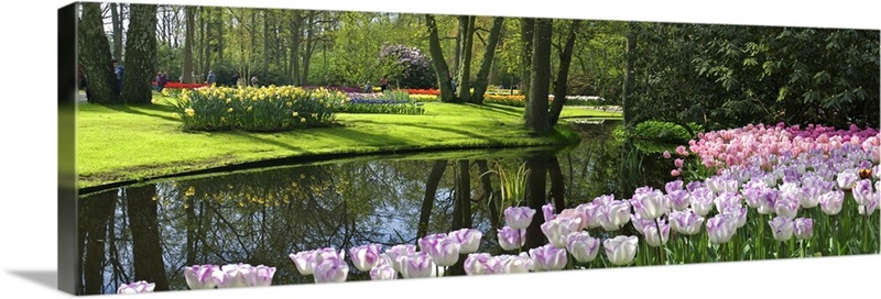 Europe, Netherlands, Holland, Lisse, Keukenhof Gardens in spring | Great Big Canvas