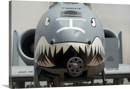 Front of an A-10 Thunderbolt II warplane painted with a shark face ...