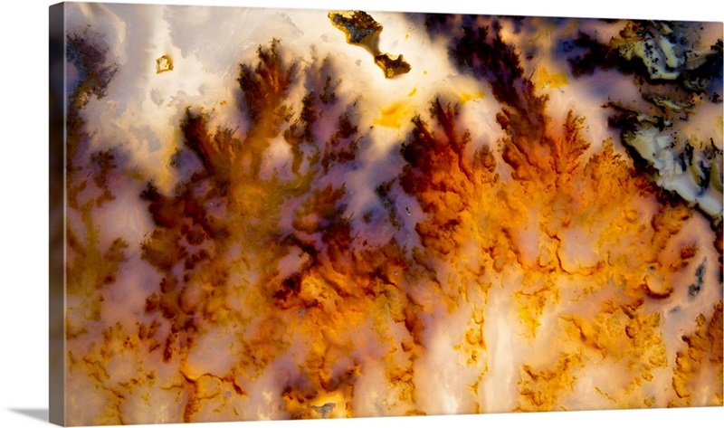 Graveyard Point Plume, Oregon | Great Big Canvas