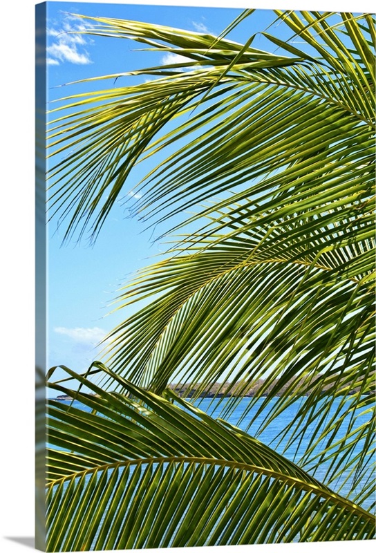 Grenada. Palm trees on beach | Great Big Canvas