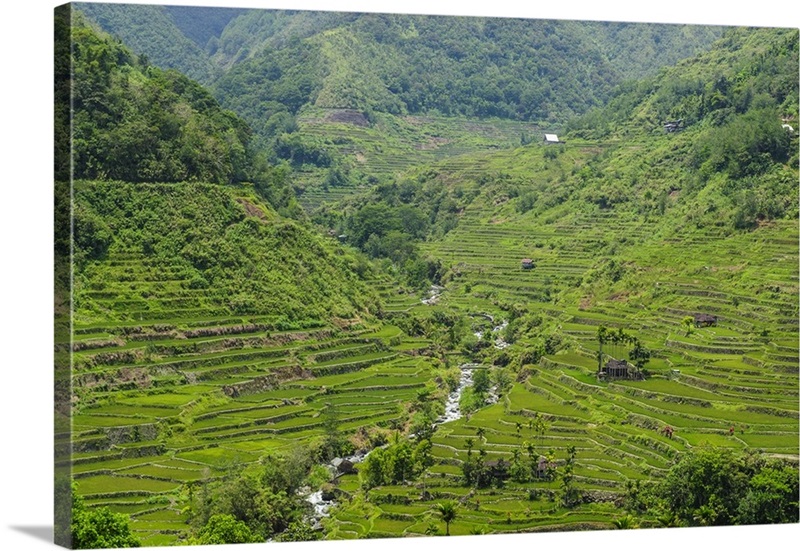 Hapao Rice Terraces, Banaue, Luzon, Philippines | Great Big Canvas