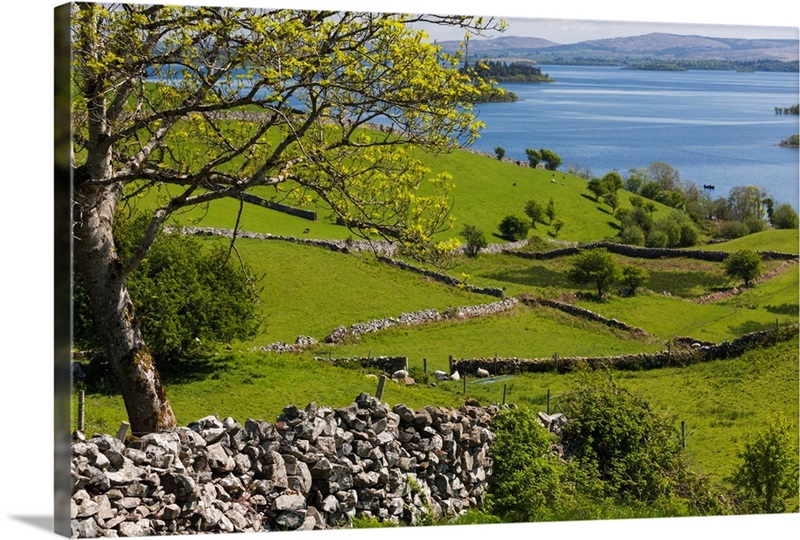 Ireland, County Galway, Cong, Elevated Springtime Landscape | Great Big ...
