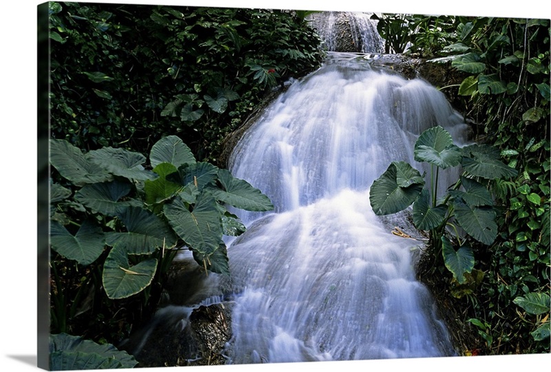 Jamaica, Ocho Rios, Shaw waterfalls | Great Big Canvas