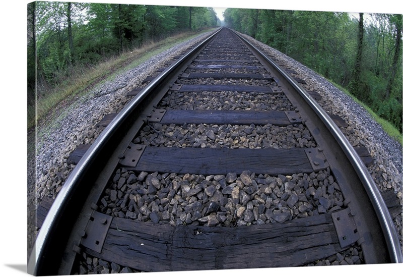 Kentucky, Railroad tracks | Great Big Canvas