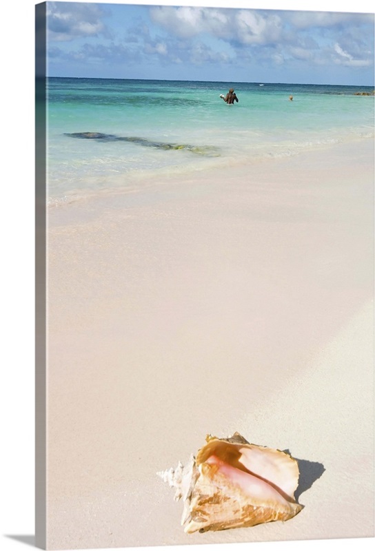 Long Bay Beach, Shell, Antigua, West Indies, Caribbean | Great Big Canvas