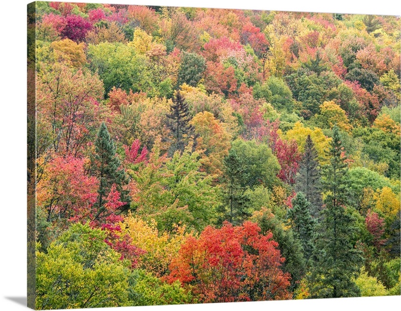 Michigan, Valley below the Cut River Bridge with Lake Michigan on the ...