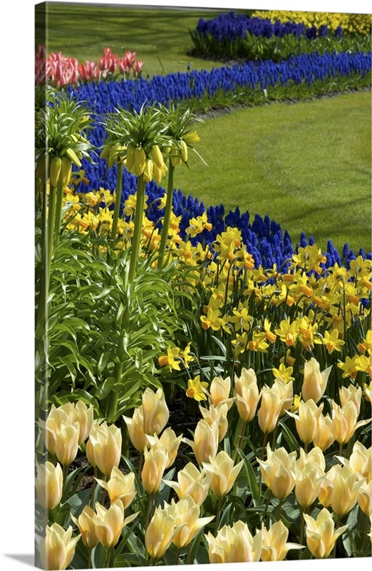 Netherlands, Holland, Lisse, Keukenhof Gardens | Great Big Canvas