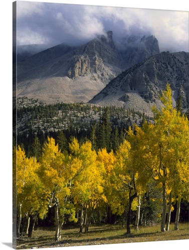 Nevada, Great Basin National Park | Great Big Canvas