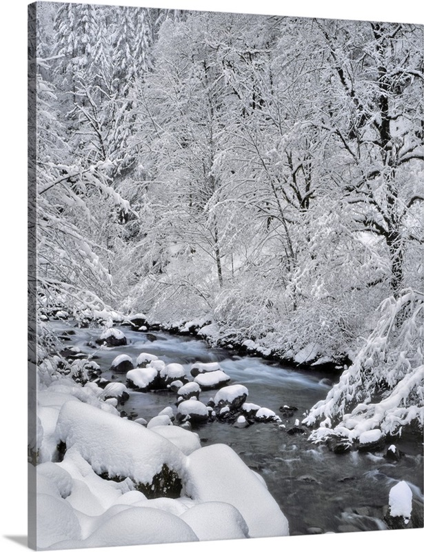 Oregon, Mt. Hood National Forest. Snow on Boulder Creek | Great Big Canvas