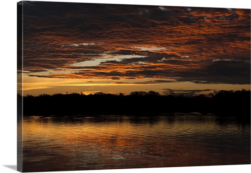 Permanent ponds in Savannah Rupununi, Guyana | Great Big Canvas
