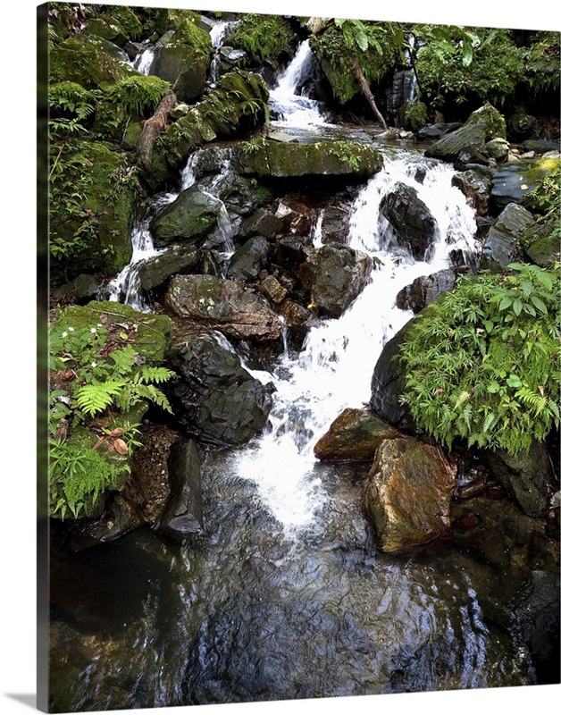 Puerto Rico, River water cascading over rocks as it passes though a ...