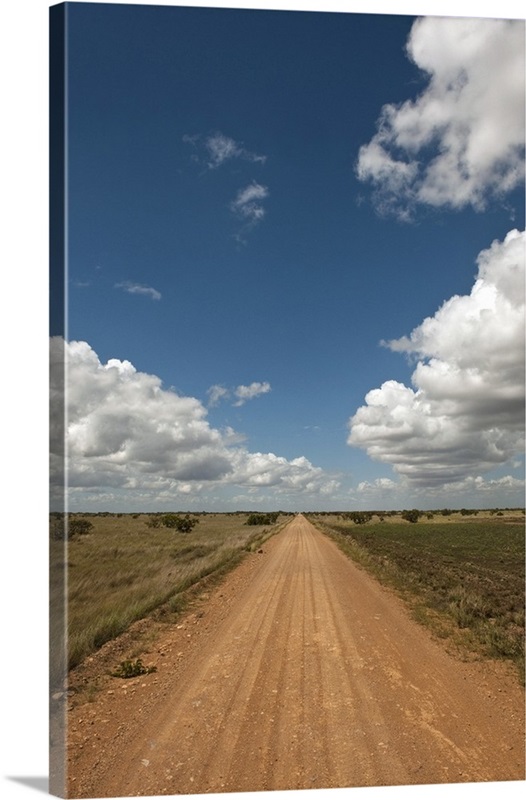 Savannah Scenic, Rupununi, Guyana, dirt road | Great Big Canvas