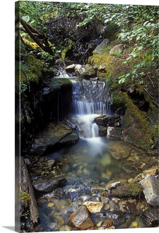 Small waterfall along creek in Jasper National Park, Canada | Great Big ...