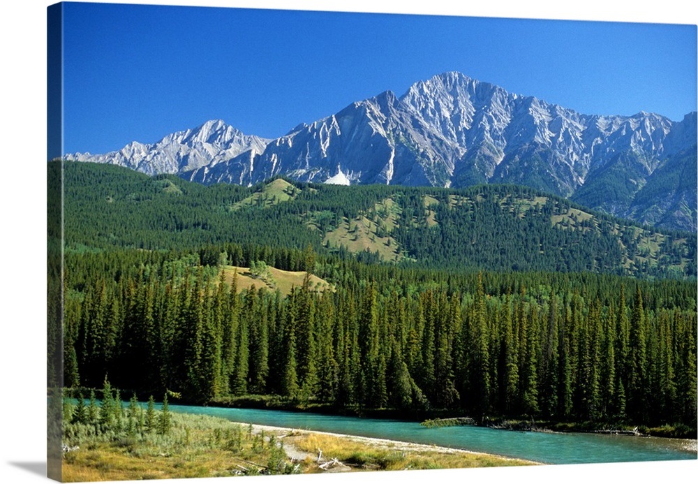 The Canadian Rockies in Banf National Park, Canada Wall Art, Canvas ...