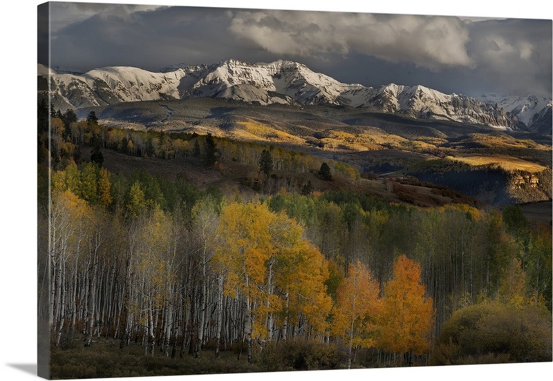 USA, Colorado, San Juan Mountains, Mountains And Forest Landscape ...