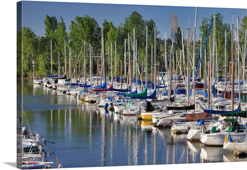 USA, Oregon, Portland, Sailboats Docked In Tomahawk Bay Wall Art ...