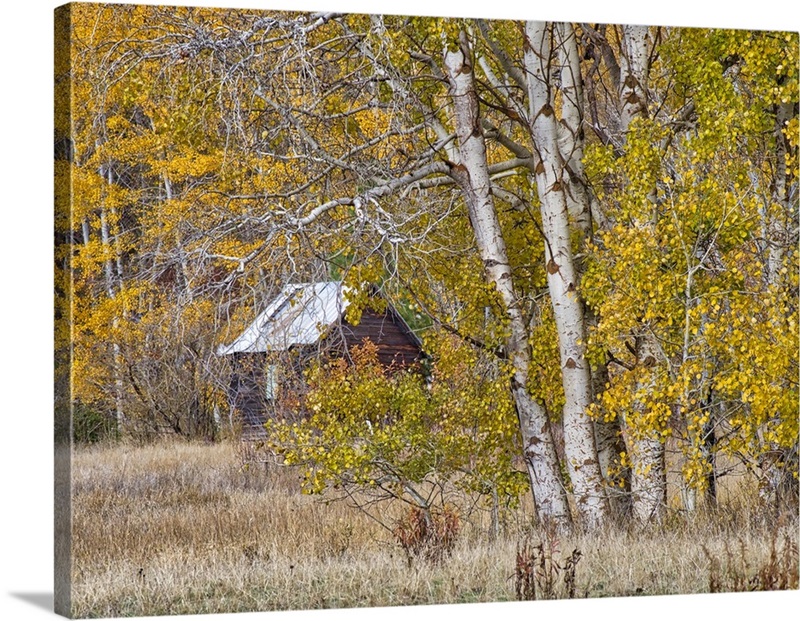 USA, Washington State, Eastern Washington, Cle Elum, Kittitas County ...