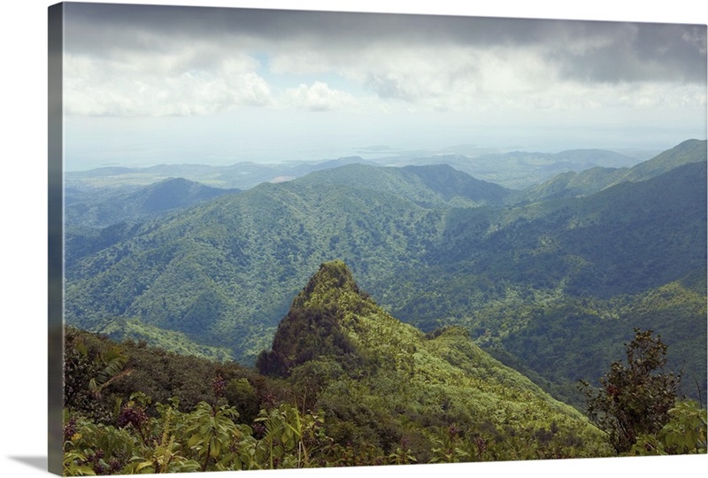 Viewing Los Picachos peak, El Yunque National Forest, Puerto Rico ...