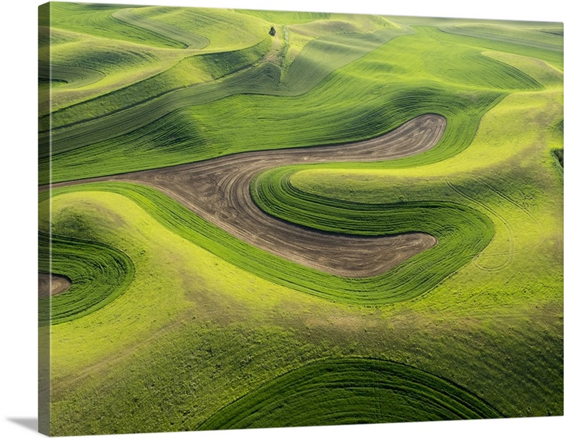 Washington, Palouse, Whitman County. Aerial of Palouse region Wall Art ...