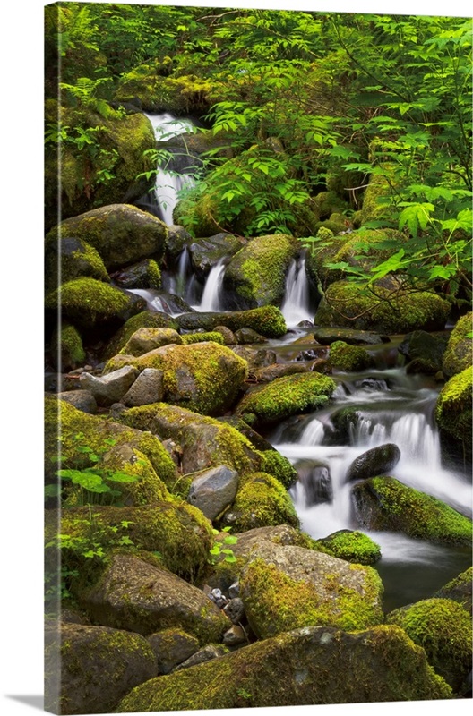 Waterfall On Tish Creek Wall Art, Canvas Prints, Framed Prints, Wall ...