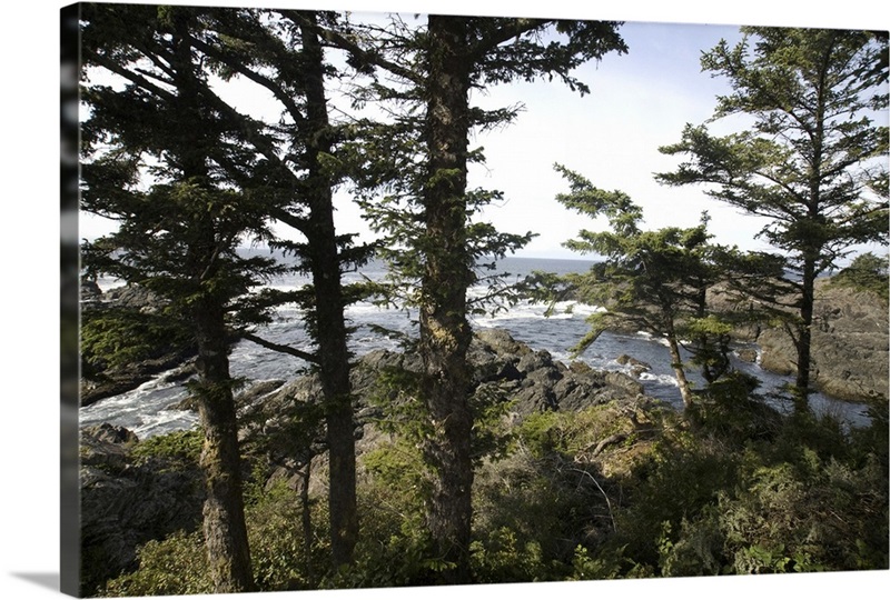 Wild Pacific Trail, Pacific Rim National Park Reserve, Ucluelet, BC ...