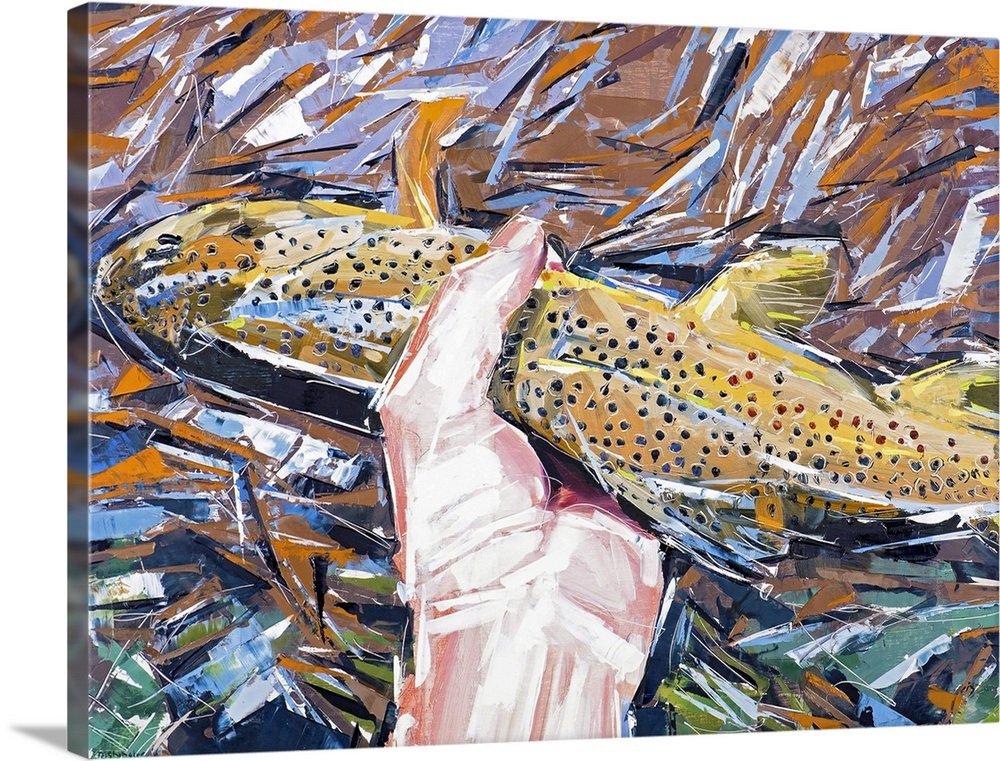 Colorado Brown Trout Wall Art, Canvas Prints, Framed Prints, Wall Peels ...