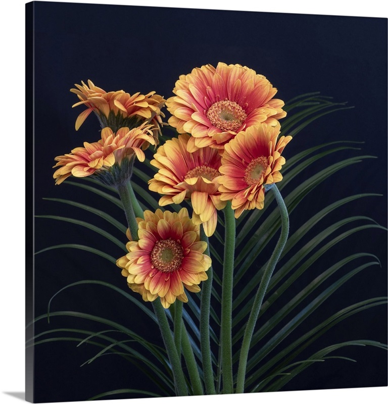 Floral Still Life Wall Art, Canvas Prints, Framed Prints, Wall Peels ...