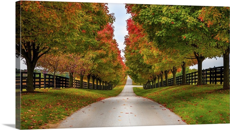 Horse Farm Alley | Great Big Canvas