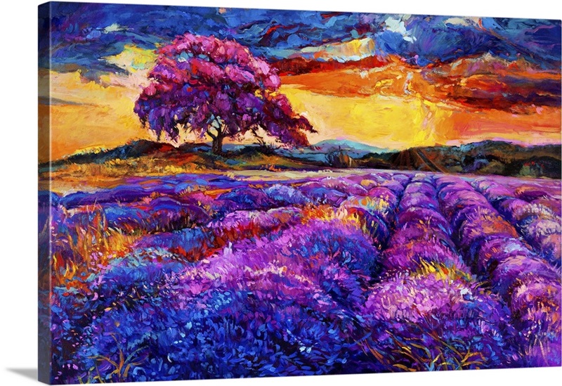 Lavender Fields | Great Big Canvas