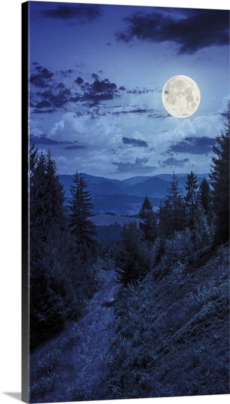 Night Walks In Mountain Forest Under Moon Light | Great Big Canvas