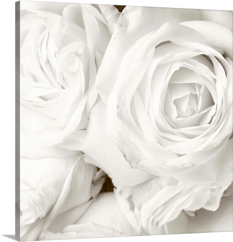 White Roses | Great Big Canvas