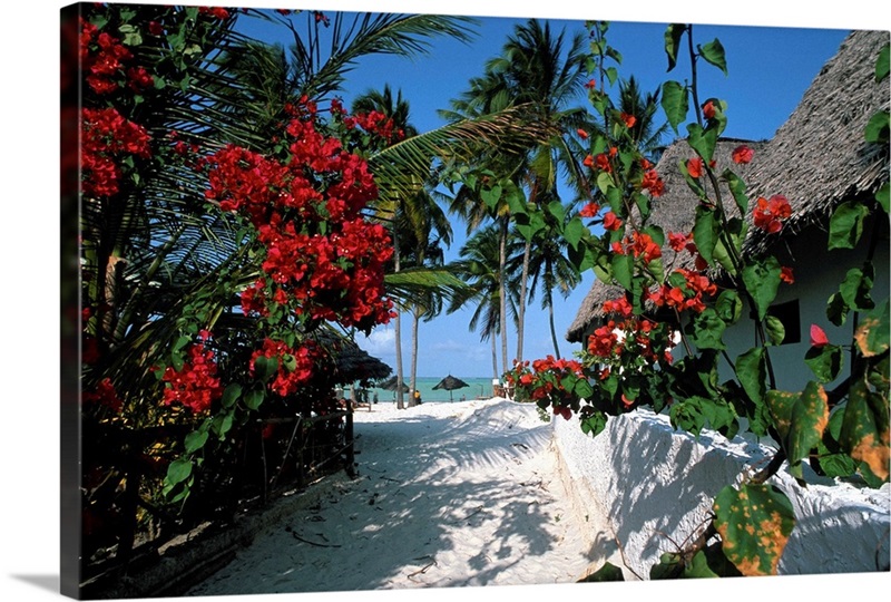 Africa, Tanzania, Paje village, bungalow on the beach | Great Big Canvas