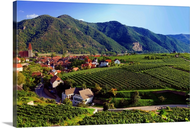 Austria, Lower Austria, Wachau, Danube, Donau, Vineyards | Great Big Canvas