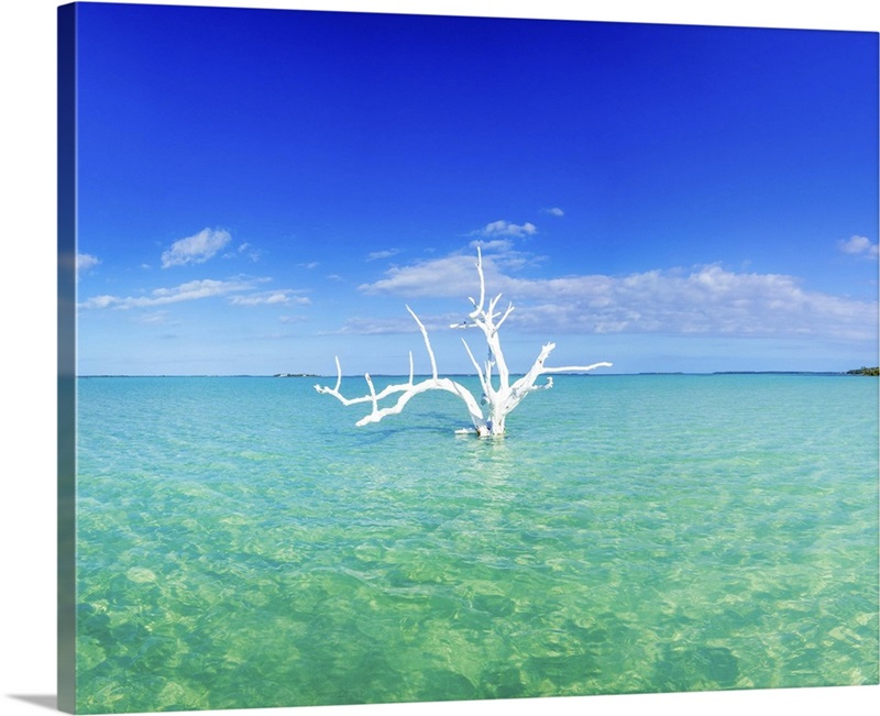 Bahamas, Harbor Island, Caribbean sea, Atlantic ocean, Caribbean ...