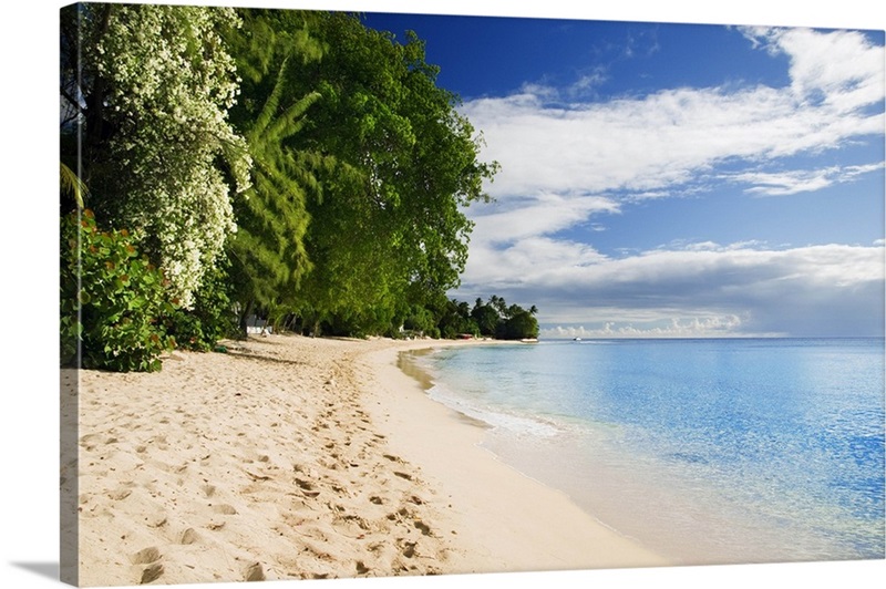 Barbados, Mullins Beach | Great Big Canvas