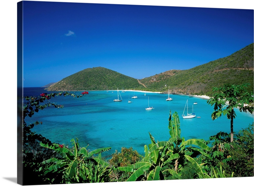 British Virgin Islands, Jost Van Dyke Island, White Bay and papaia Wall ...