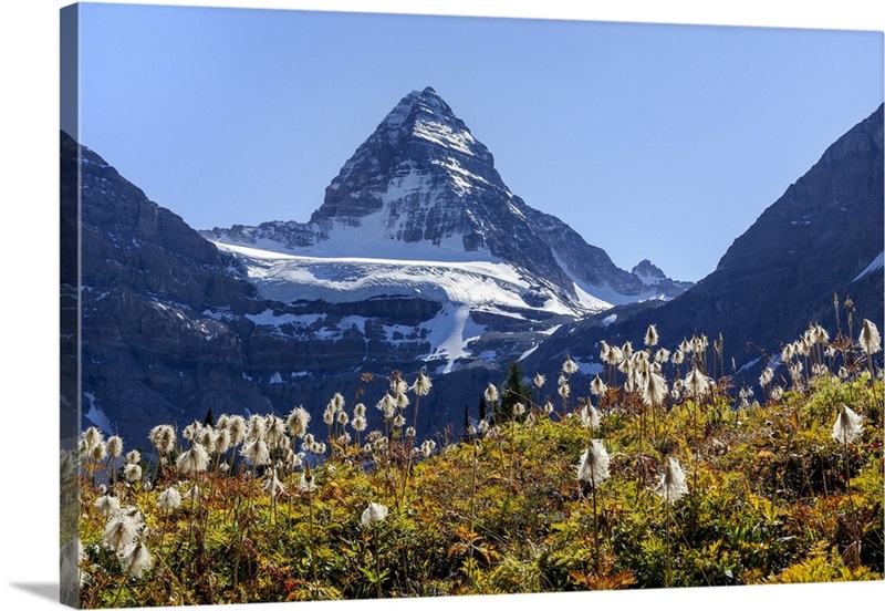 Canada, British Columbia, Mount Assiniboine | Great Big Canvas