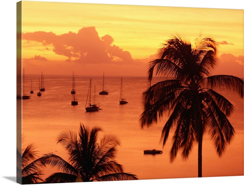 Caribbean, Martinique, View from Hotel Meridien | Great Big Canvas
