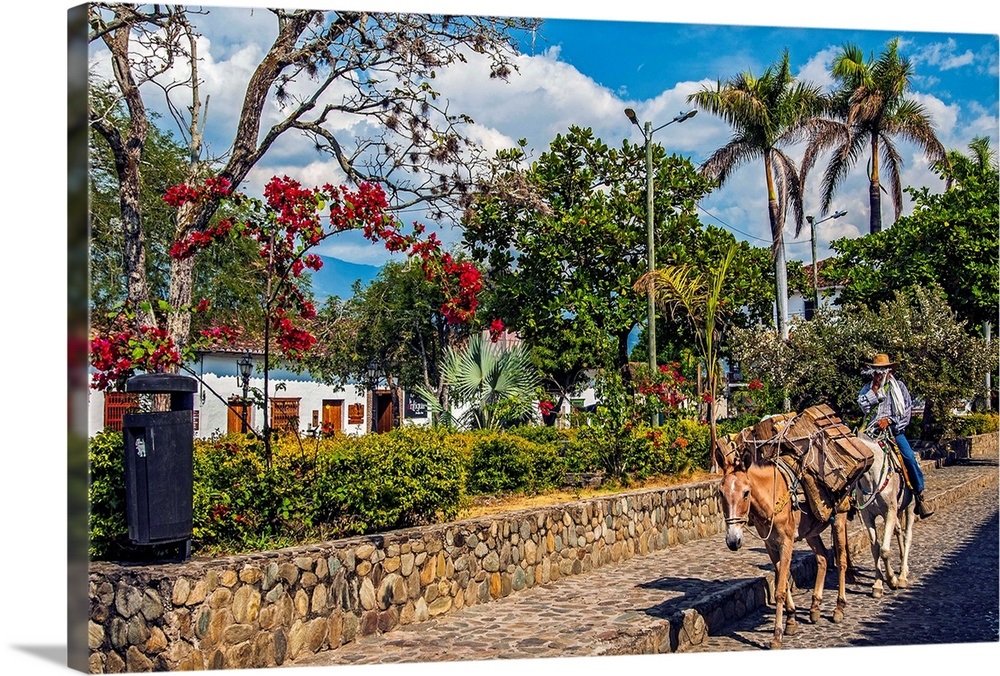 Colombia, Santa Fe de Antioquia, typical scene Wall Art, Canvas Prints ...
