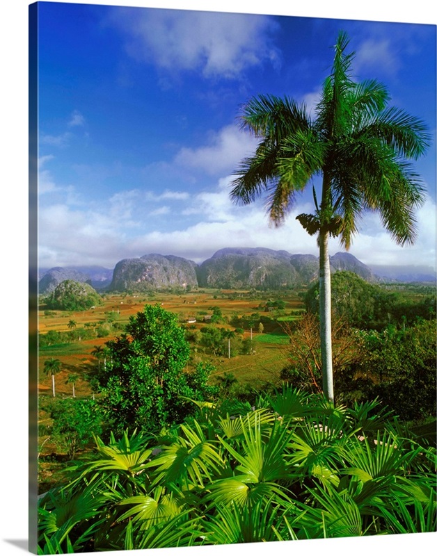 Cuba, Pinar del Rio, Vinales valley, Sierra de Los Organos, landscape ...