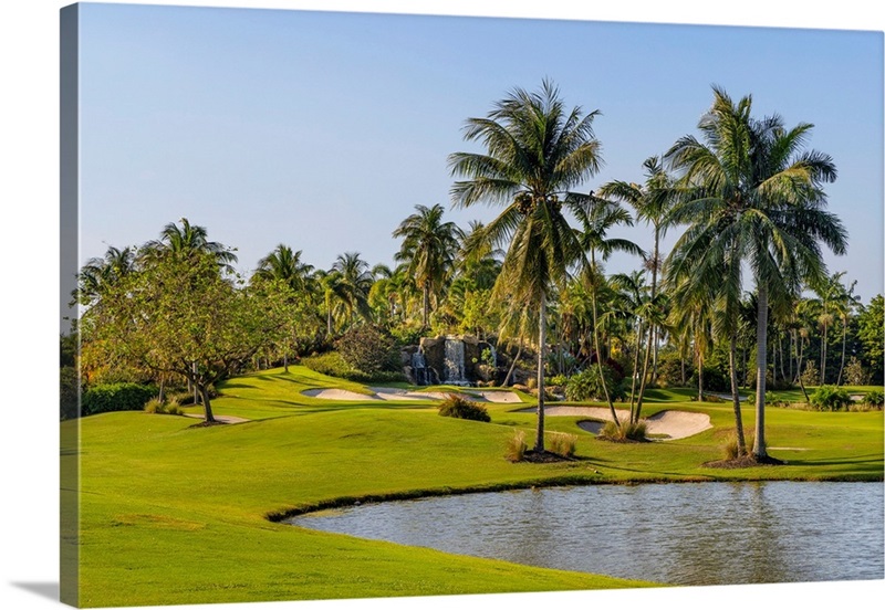 Florida, Boca Raton, Golf Course With Palm Trees | Great Big Canvas