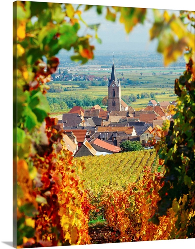 France, Alsace, Rodern, Vineyards | Great Big Canvas