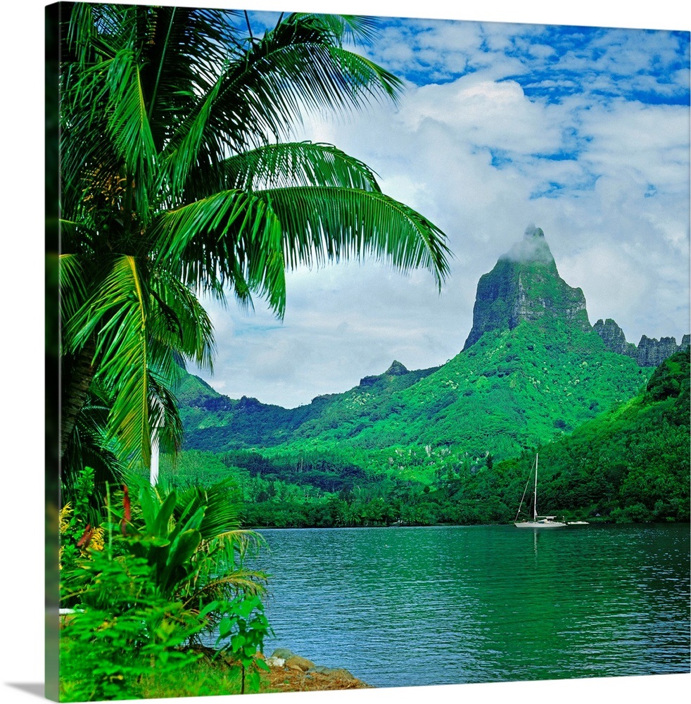 French Polynesia, Moorea, Opunohu Bay Wall Art, Canvas Prints, Framed ...