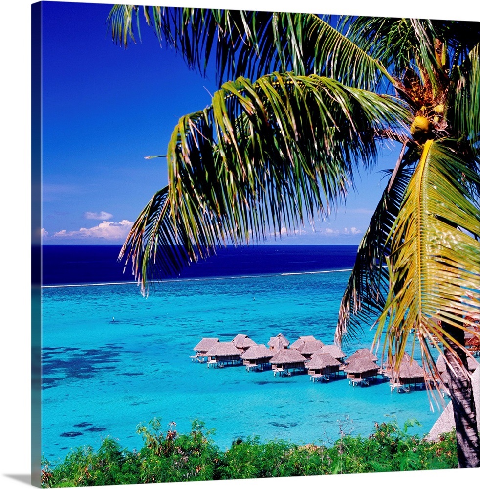 French Polynesia, Moorea, Tahiti, Teavaro beach Wall Art, Canvas Prints ...