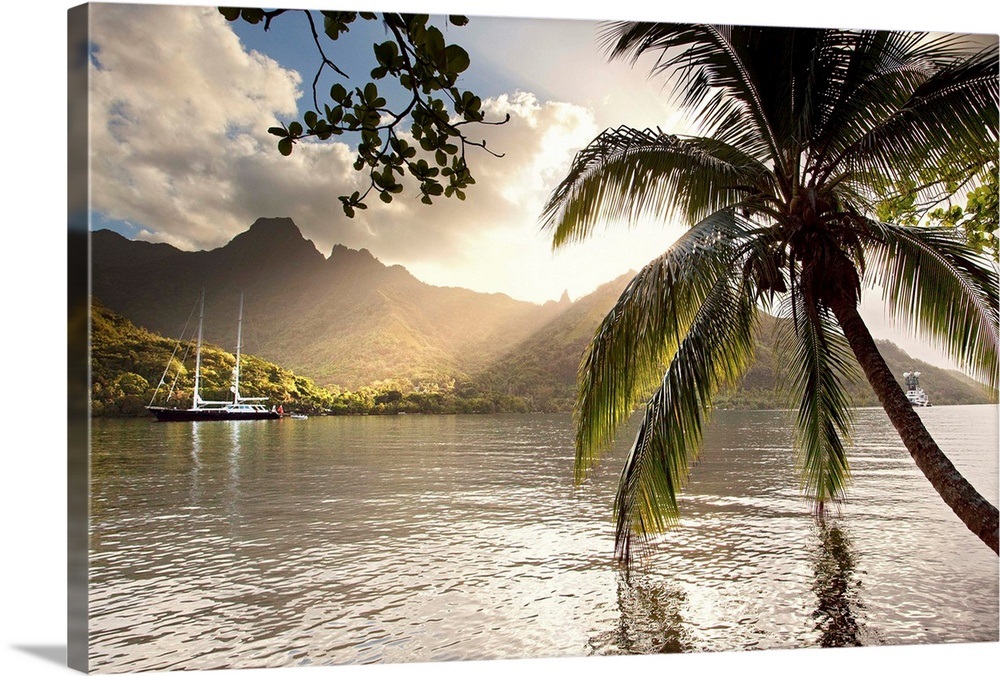 French Polynesia, Society Islands, Oceania, Pacific ocean, Moorea ...